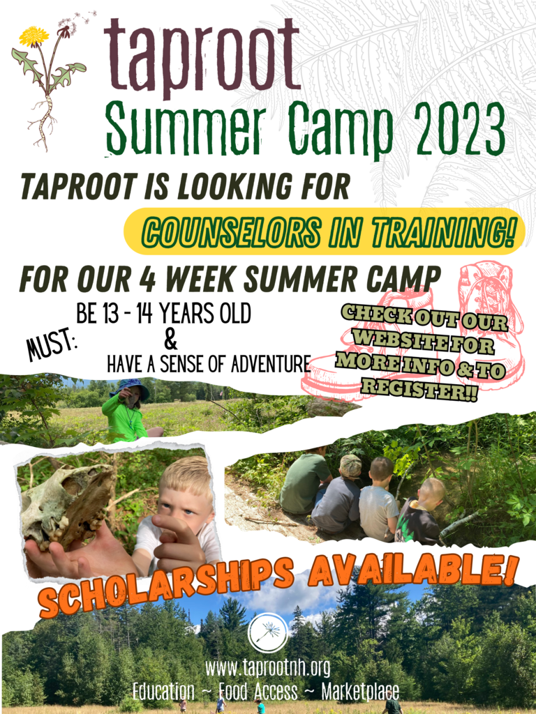 Live Feed | White Mountains Regional High School