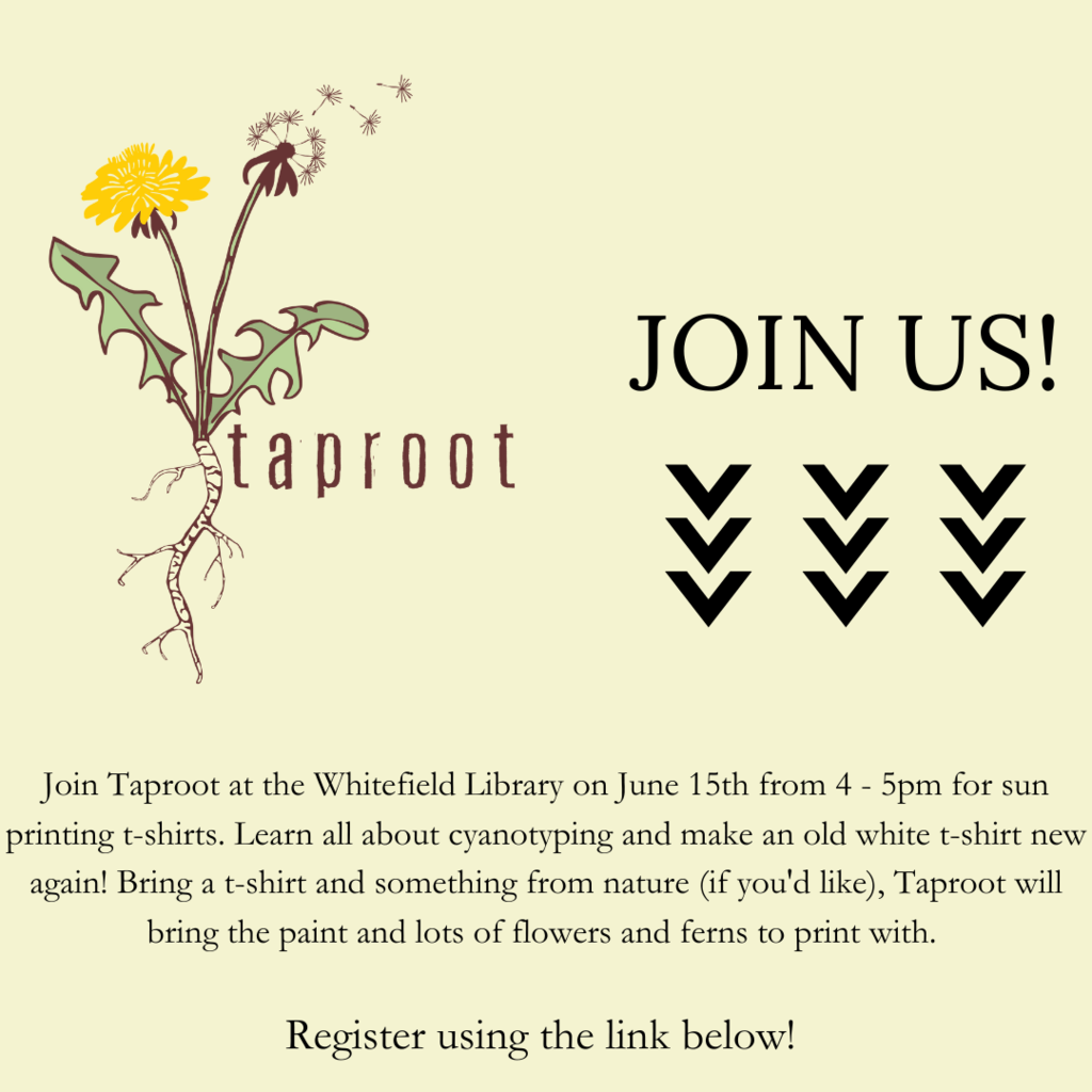 Live Feed | White Mountains Regional High School